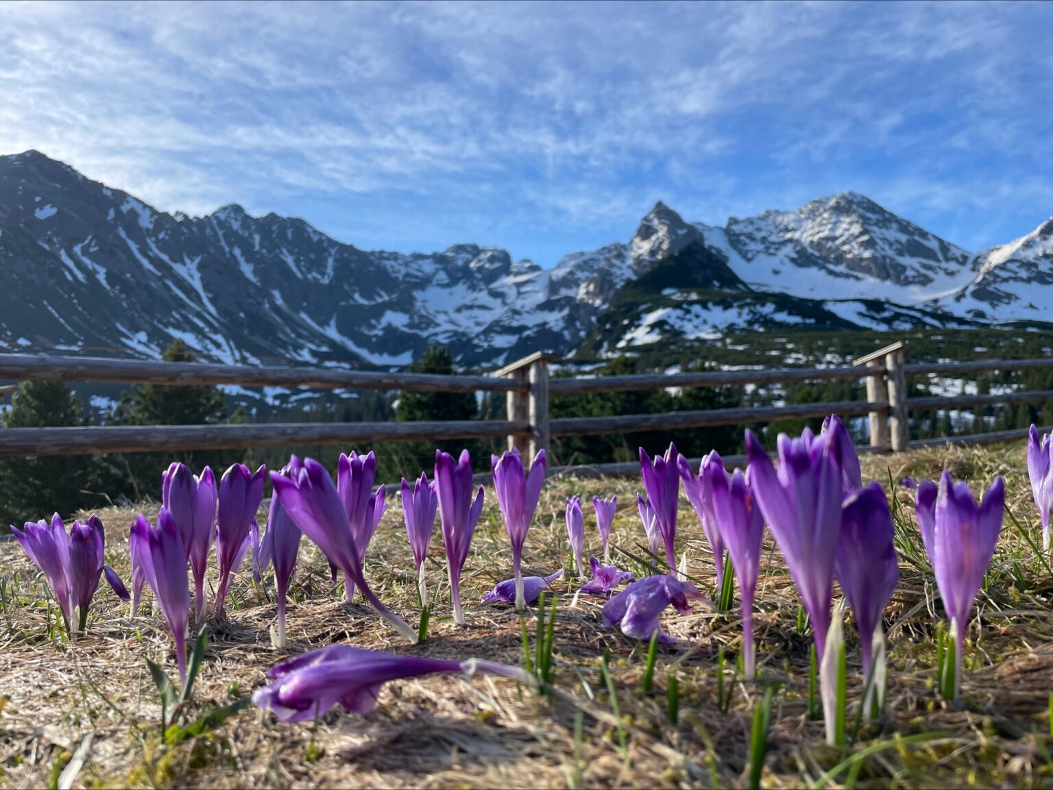 Obserwator – Magazyn popularnonaukowy IMGW-PIB