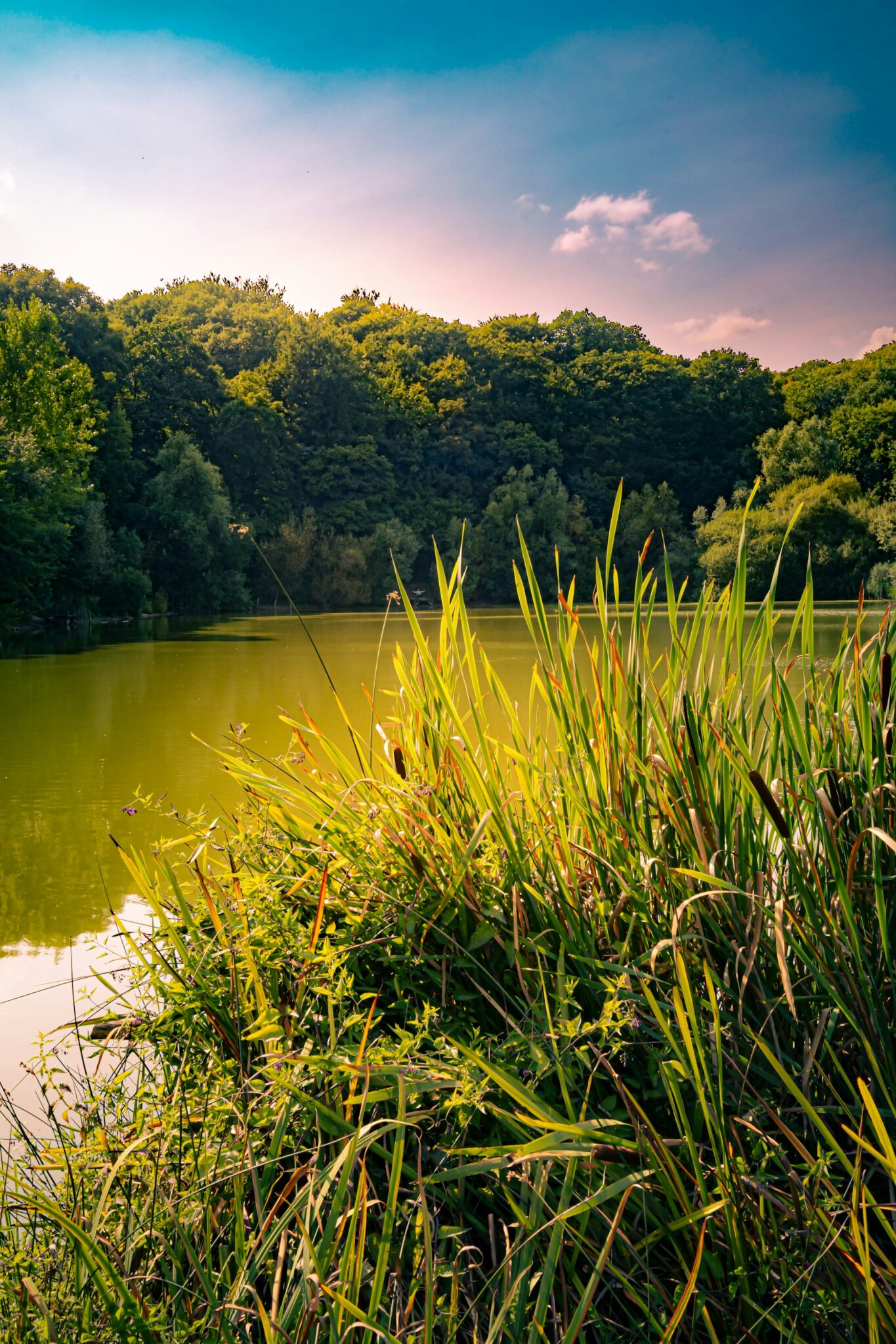 Charakterystyka wybranych elementów klimatu w Polsce w lipcu 2025 roku – Obserwator